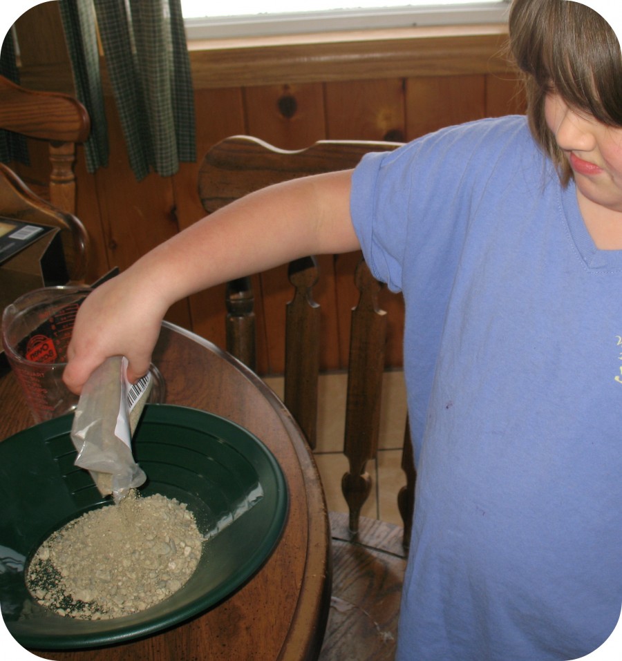 Experience Panning for Gold at Home with the GOLD RUSH Panning Kit ...